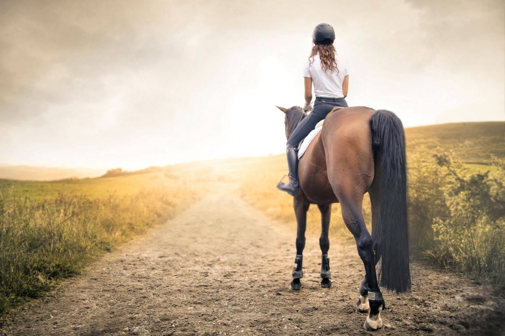 7 Excellent Health And Wellbeing Benefits Of Horse Riding | The Leisure ...